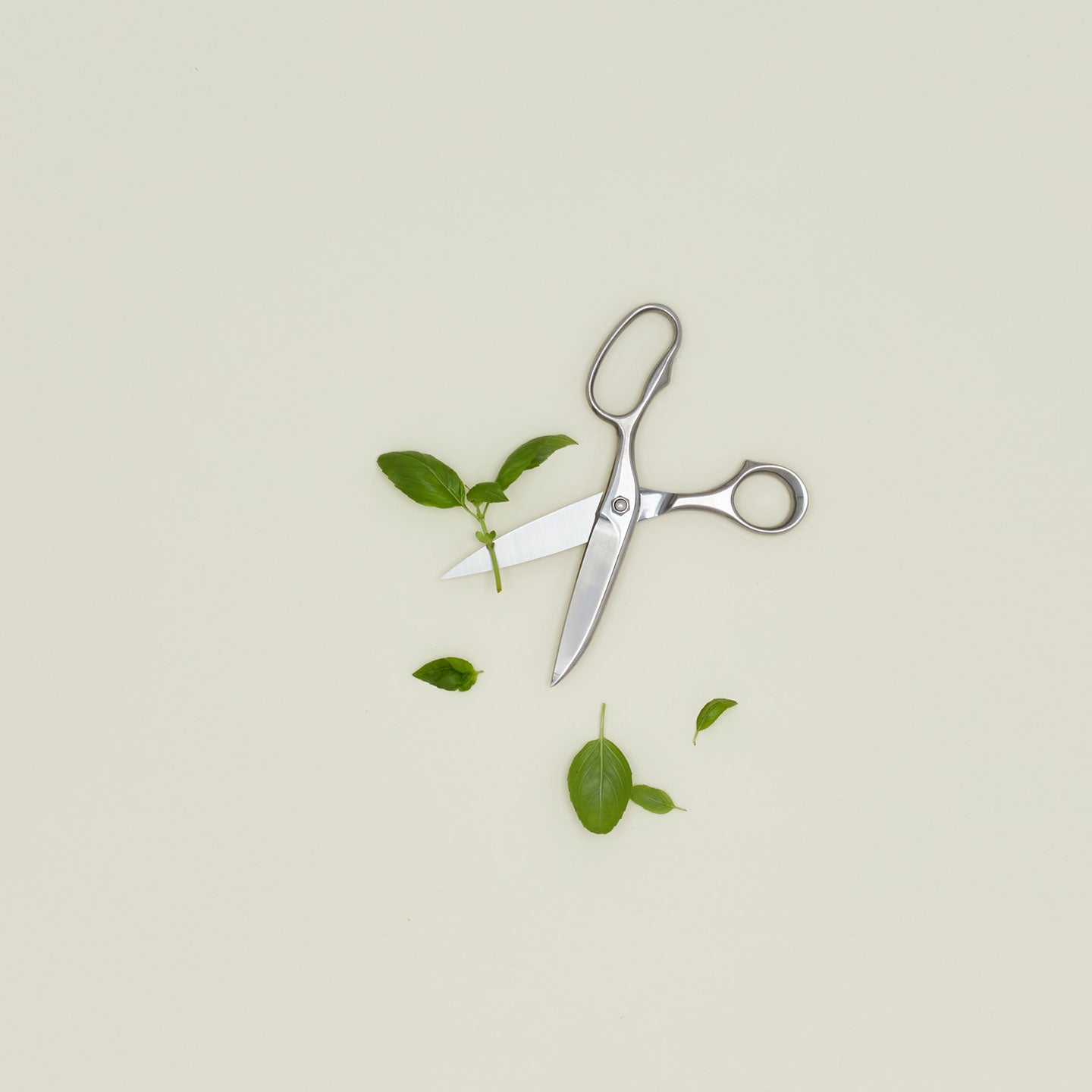 Professional Kitchen Scissors – Hawkins New York